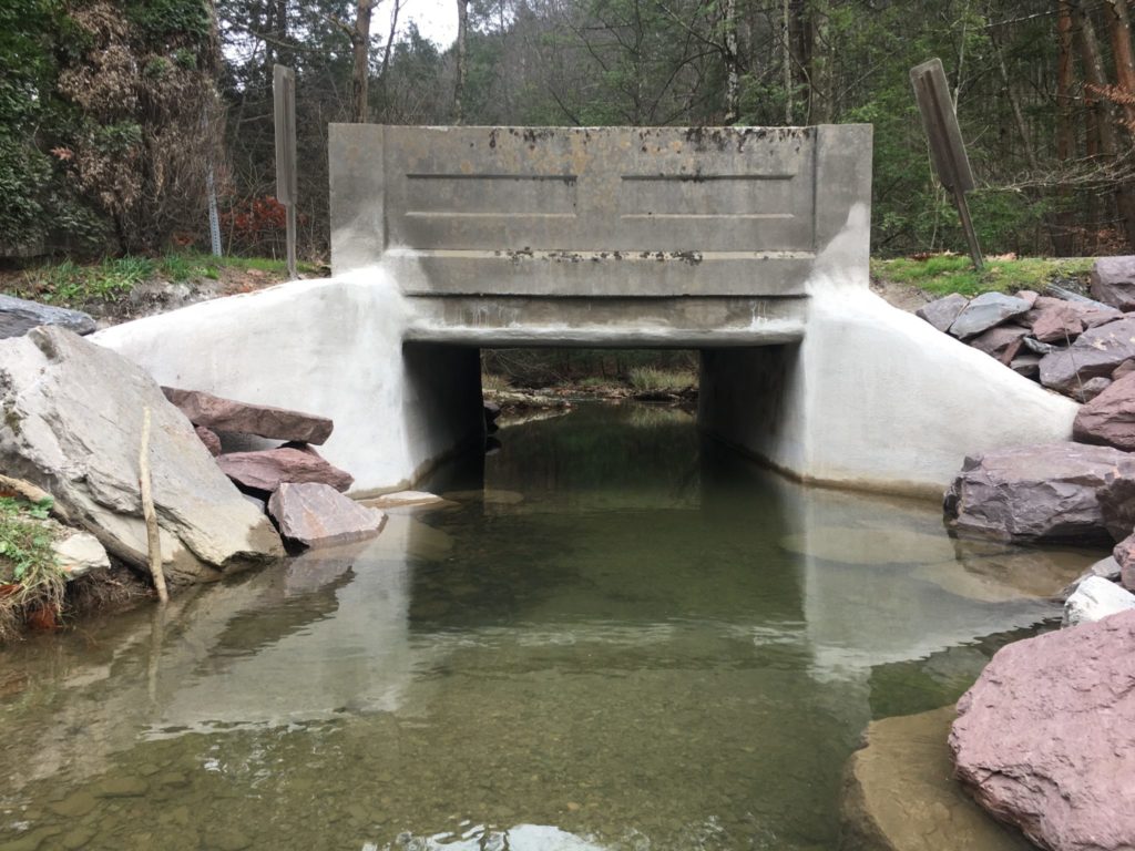 Madison Township – 2 Bridge Repair - Bassett Engineering